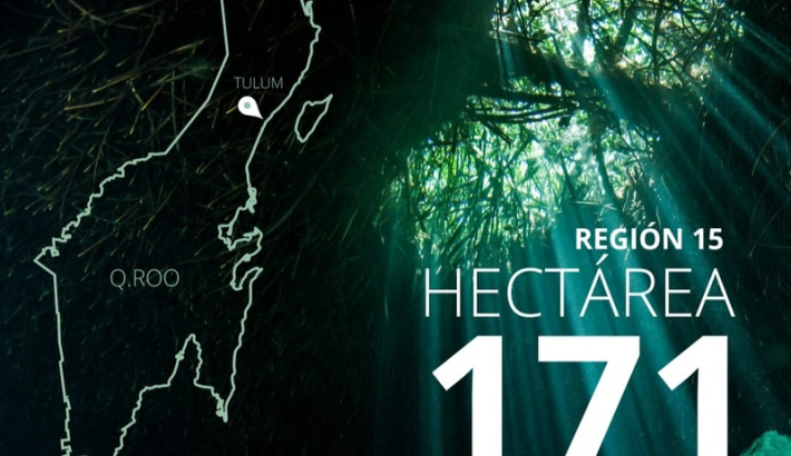 HECTAREA CON CENOTE PARA DESARROLLAR EN REGION 15 TULUM | Desarrollos ...